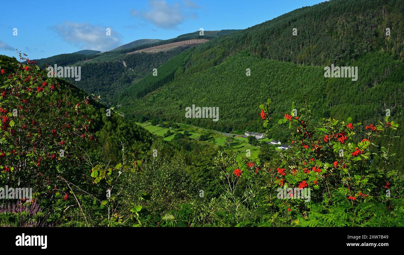 Dyfi Forest - Foel Friog walking route and part of the National Forest ...