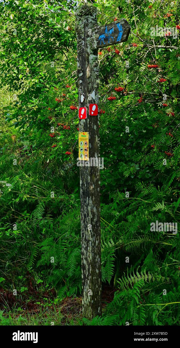 Dyfi Forest - Foel Friog walking route and part of the National Forest ...