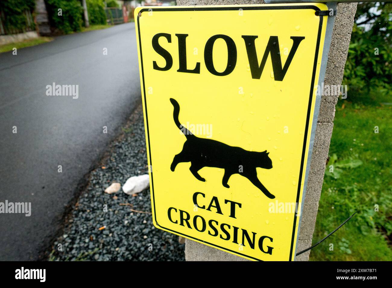 Slow cat crossing sign Stock Photo - Alamy