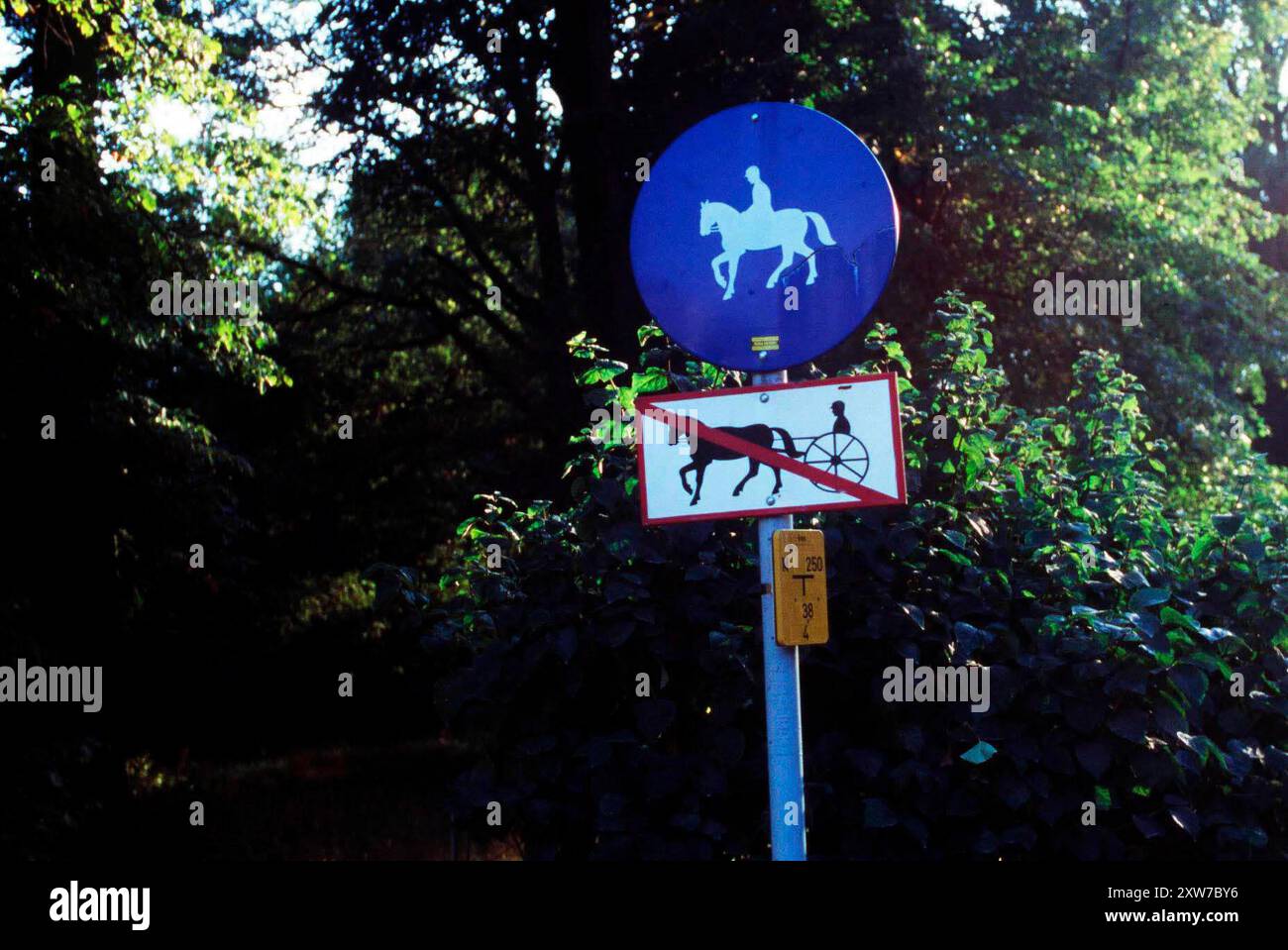 horseback riding sign, sport and recreation, outdoor activity with a ...