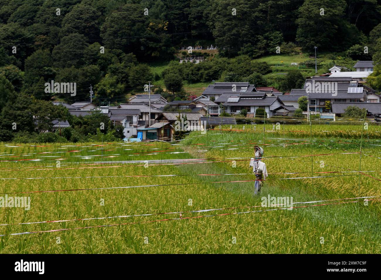 A scarecrow in a rice field outside a village in rural Nagano, Japan ...