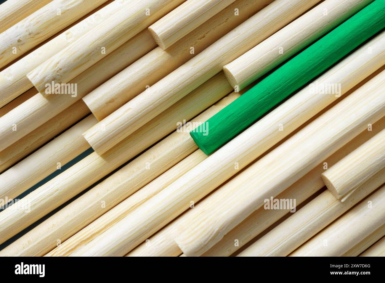 Abstract sticks with one standout green. Uniqueness or individuality ...