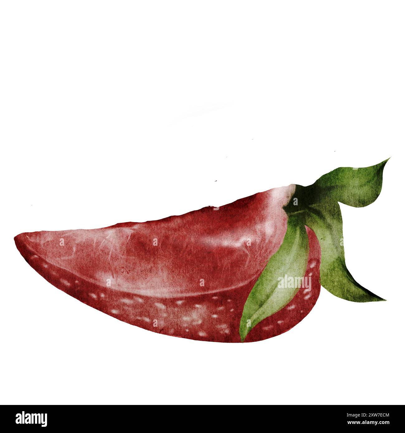 Strawberries clip art. Hand drawn watercolor drawing of juicy red berry ...