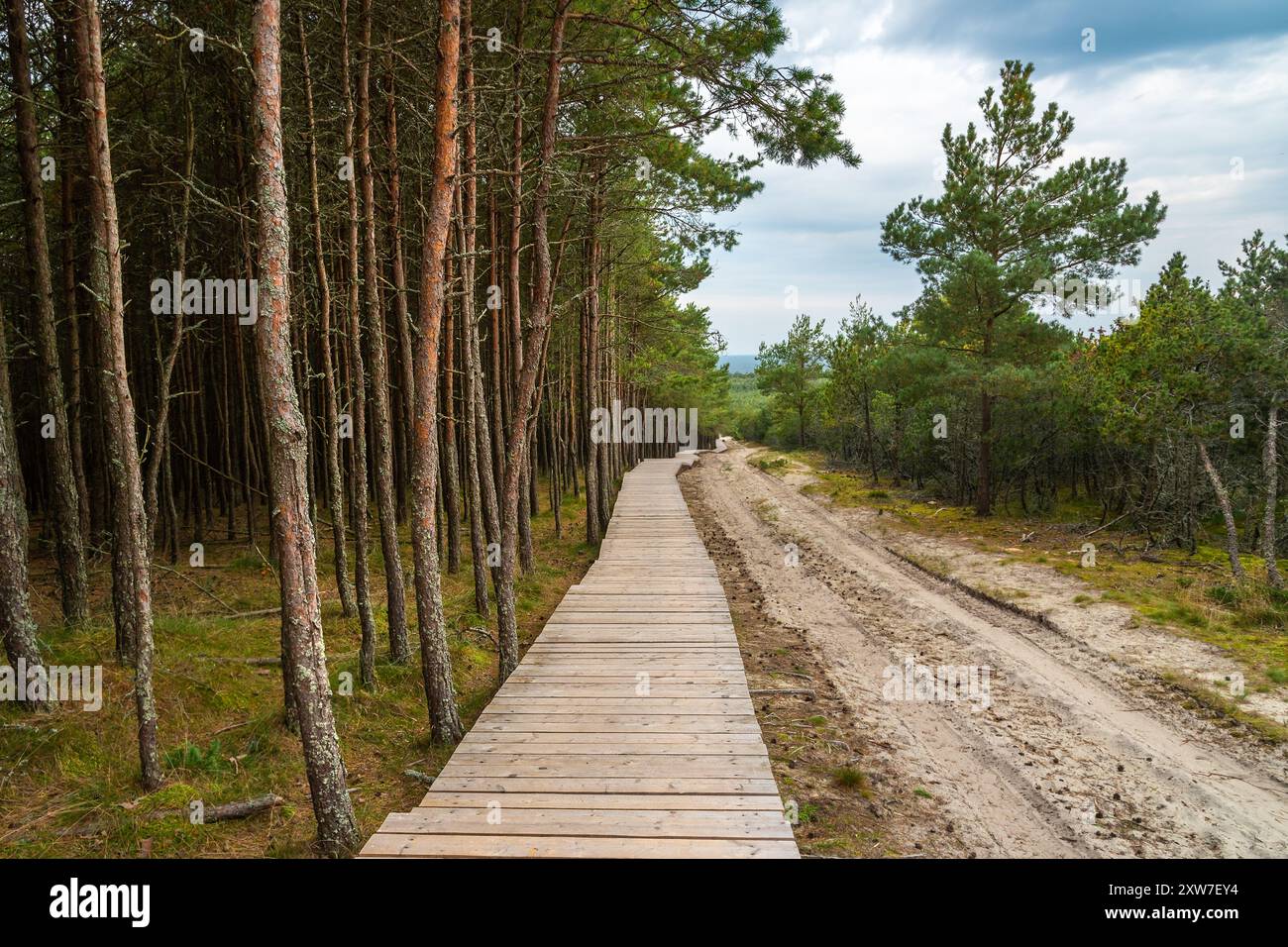 Trail to observation deck on Olenya Buda dunes with views of Swan Lake ...