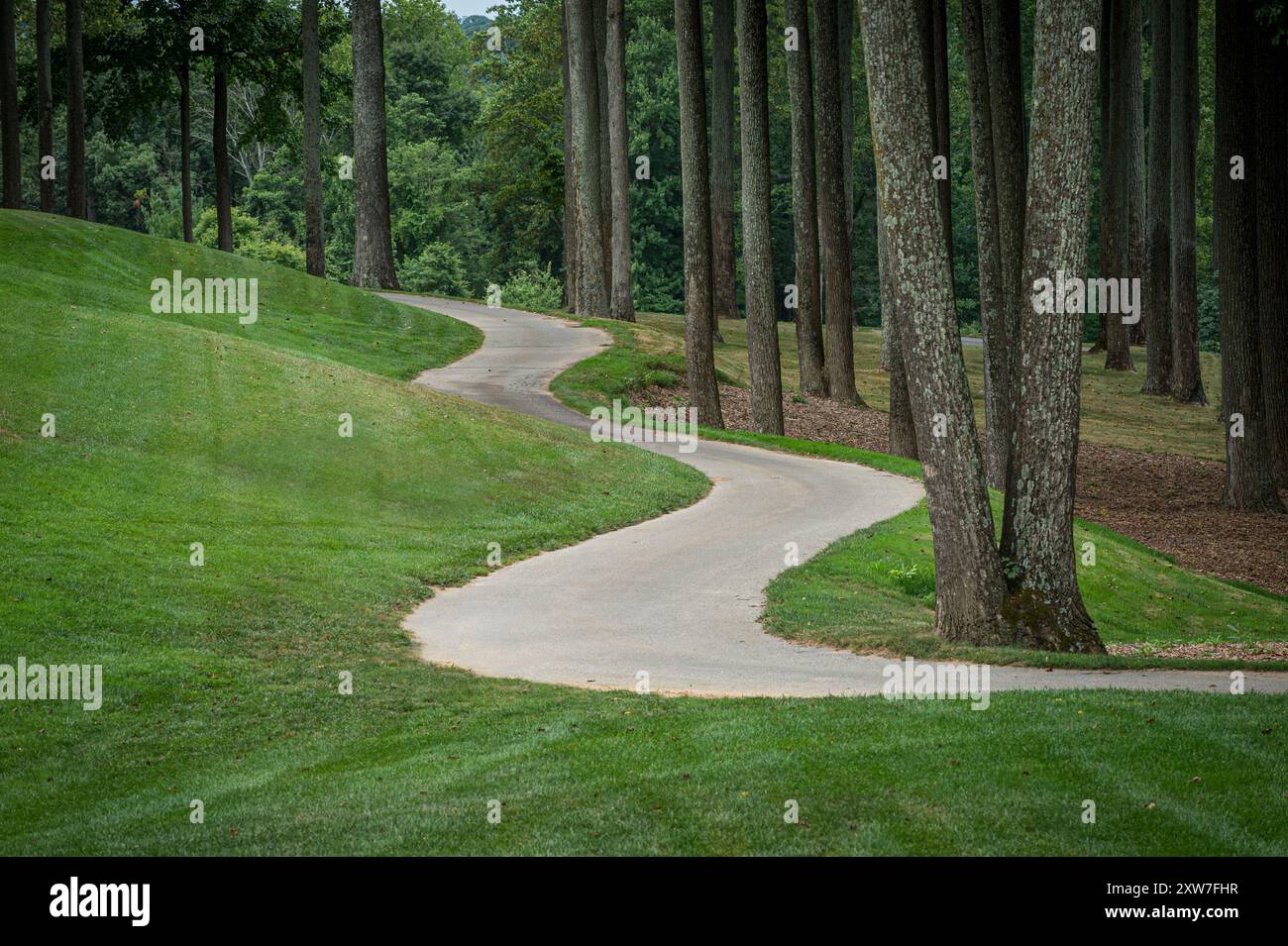 Winding golf cart path through trees at golf course, Maryland USA Stock ...