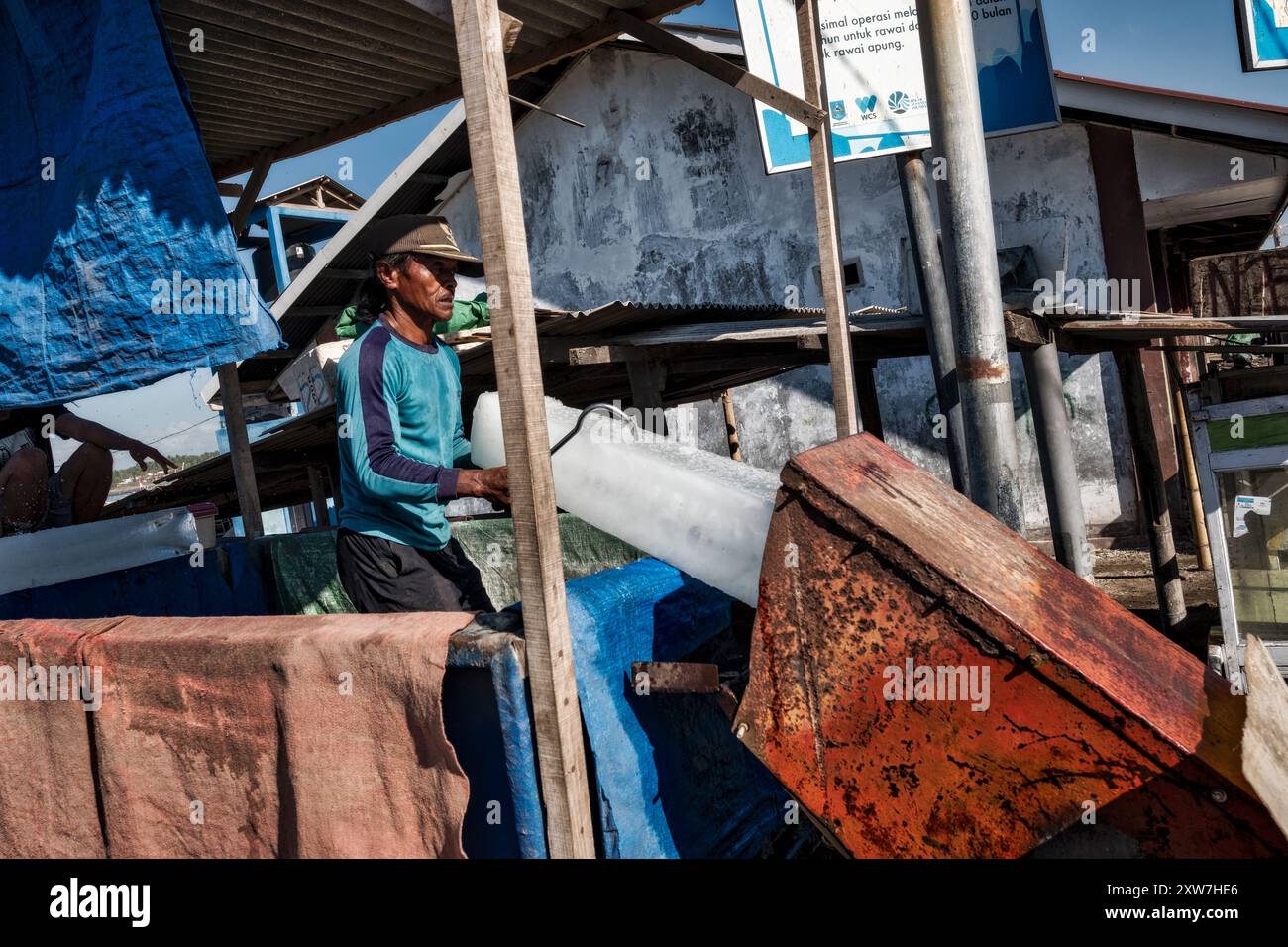 Tanjung Luar Fish market, Luar Cape, Lombok, Indonesia, Asia Stock ...