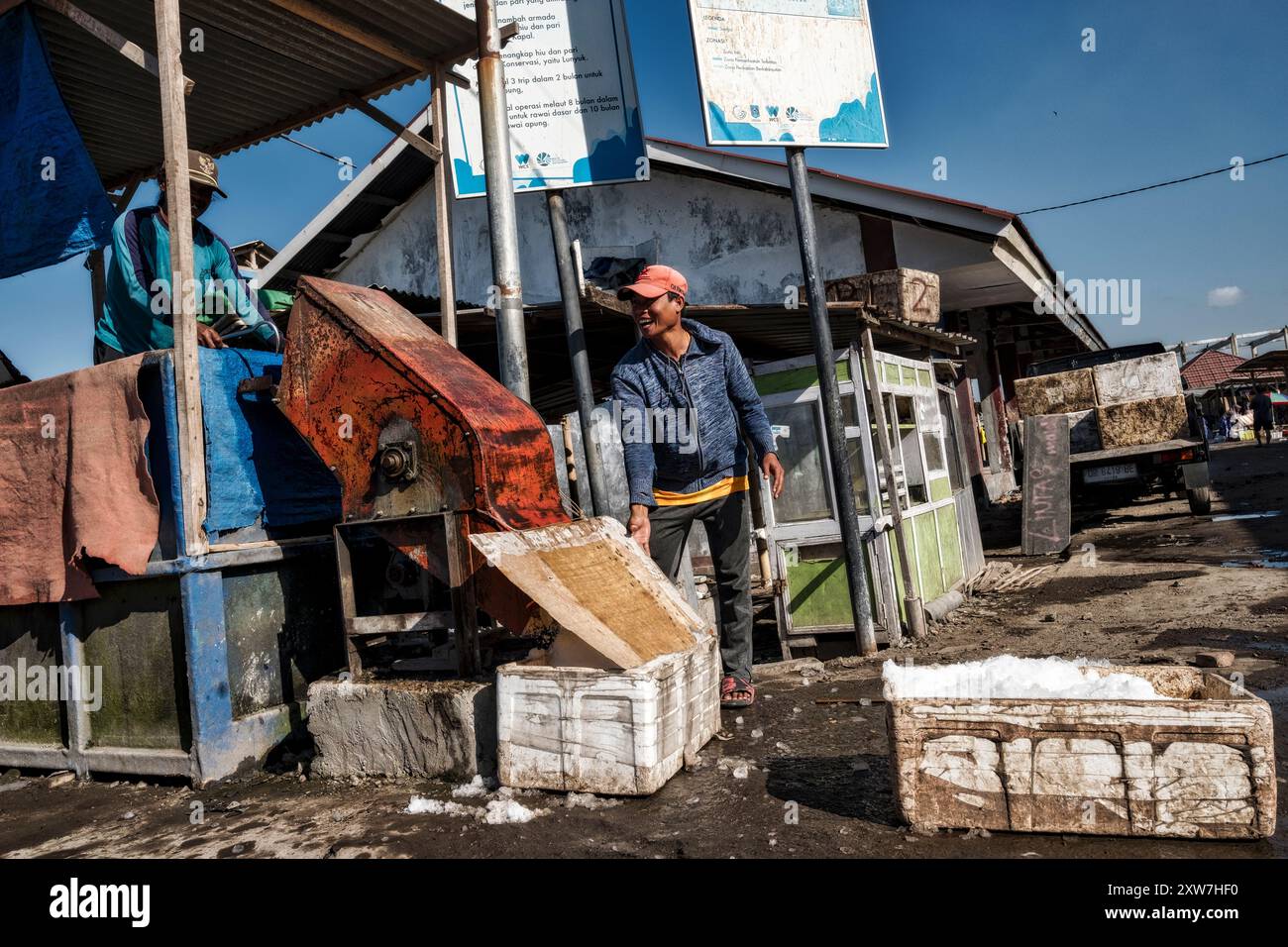 Tanjung Luar Fish market, Luar Cape, Lombok, Indonesia, Asia Stock ...