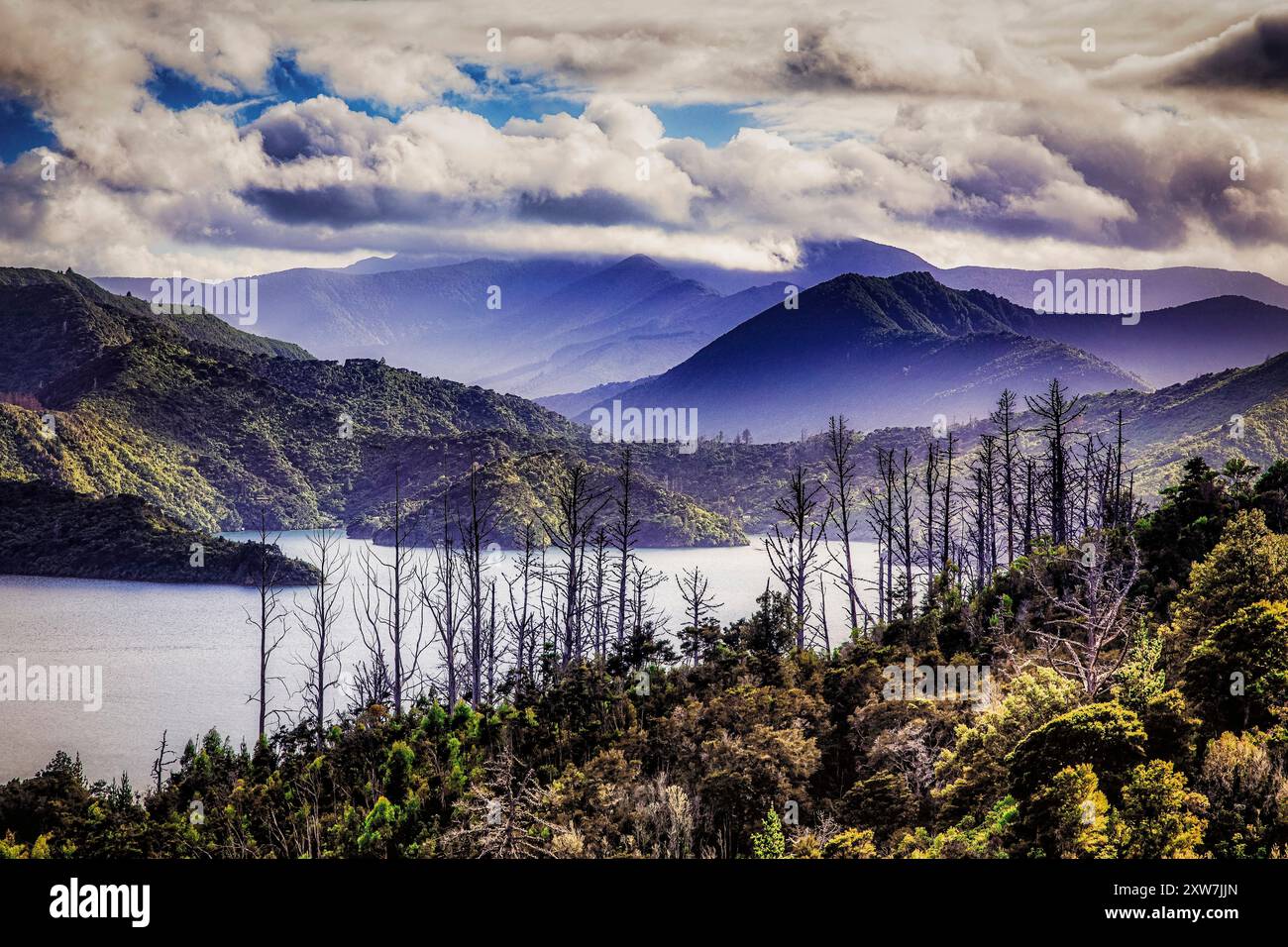 Breathtaking views of Marlborough Sound, South Island, New Zealand ...