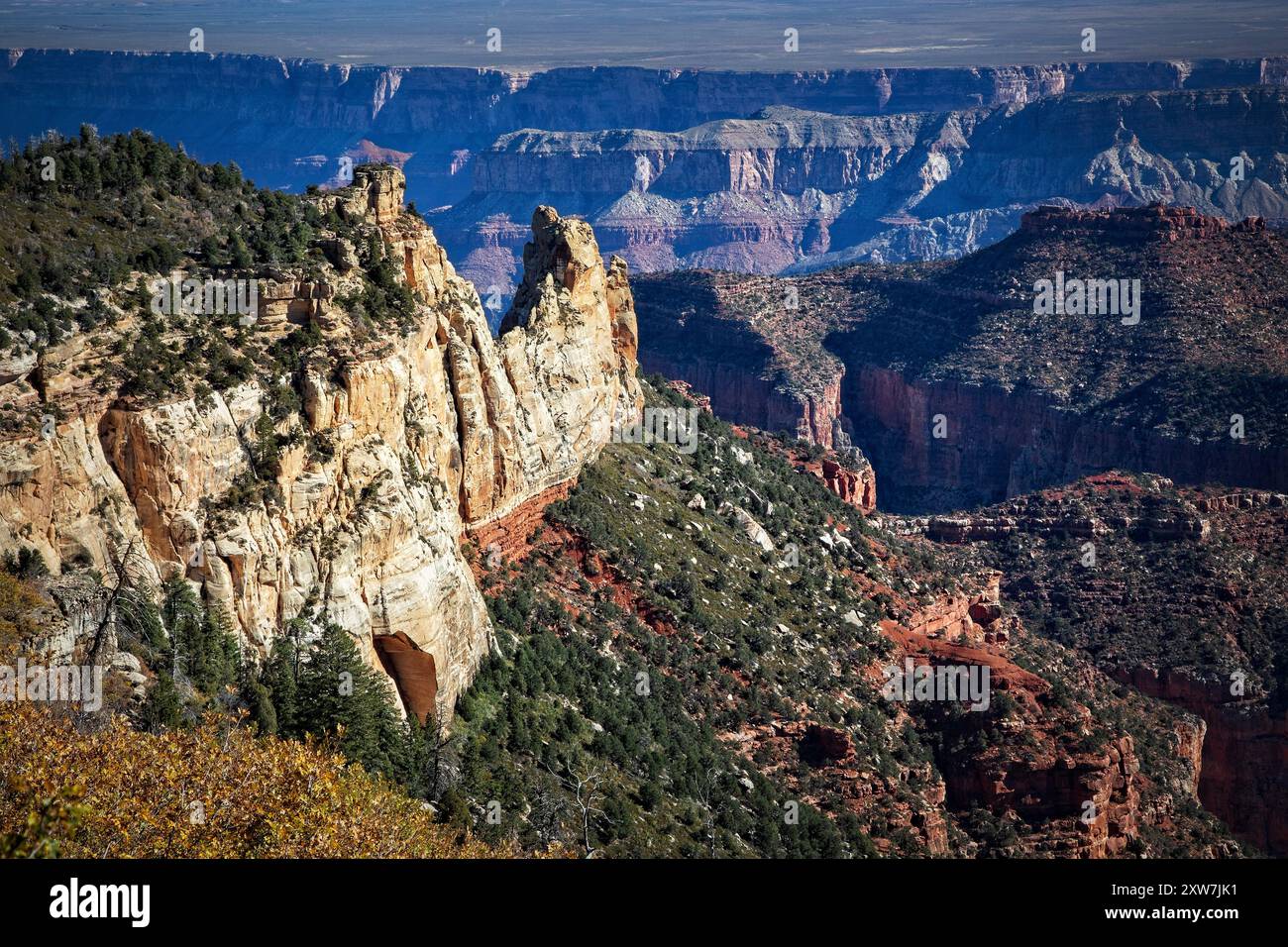 Stunning panoramic views from the North Rim of the Grand Canyon ...