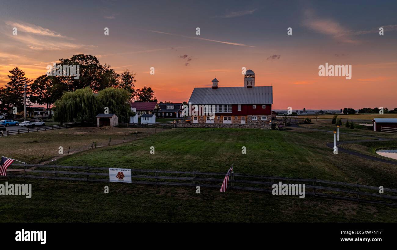 Living willow roof hi-res stock photography and images - Alamy