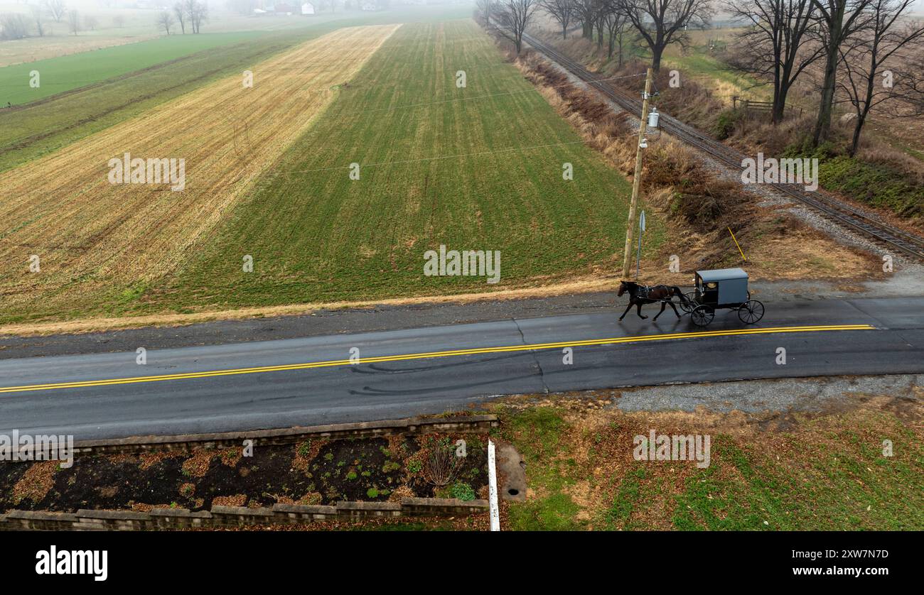 Vintage horse buggy trees hi-res stock photography and images - Alamy