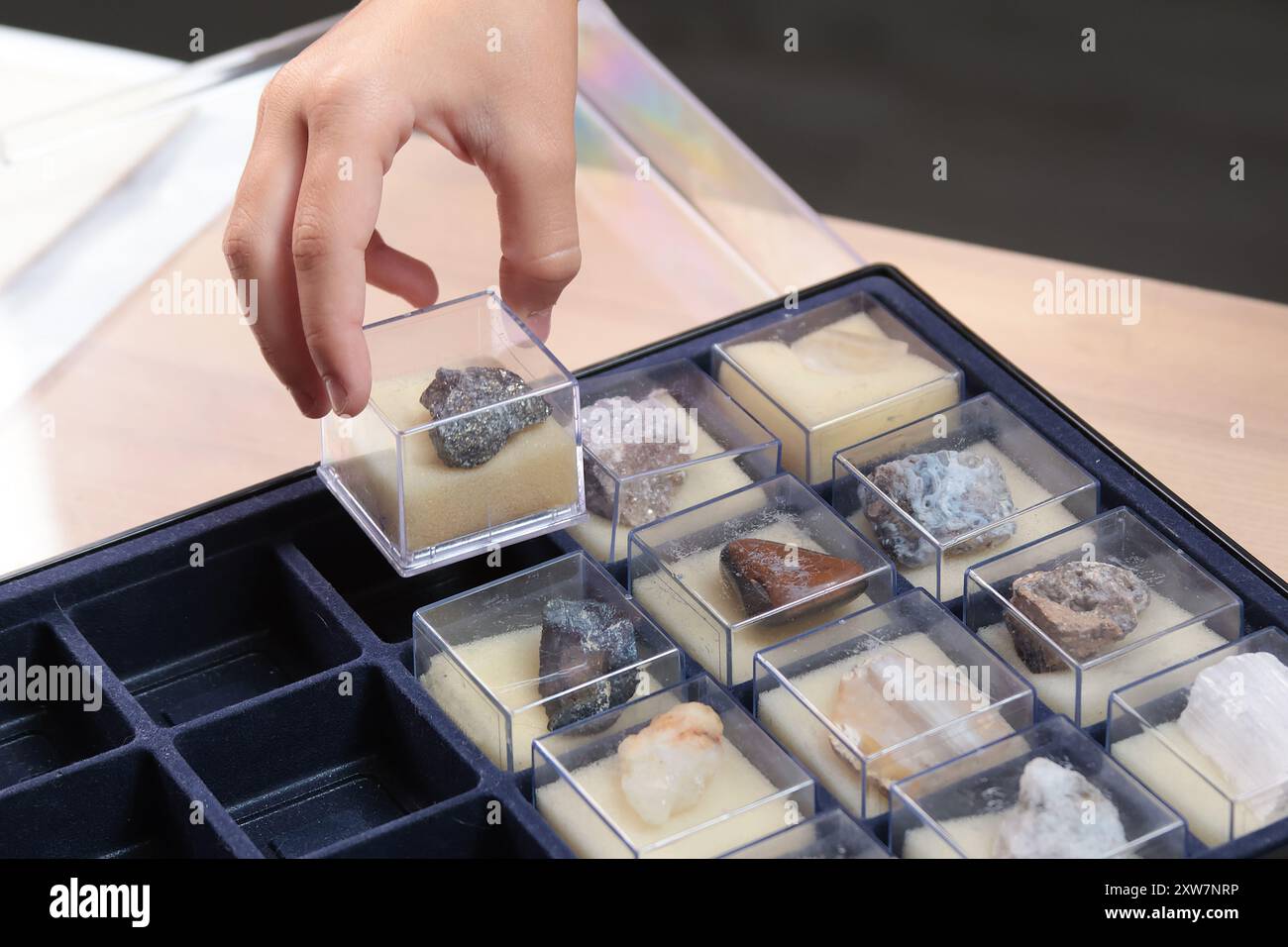 School girl study collection of rocks and minerals. School and learning ...