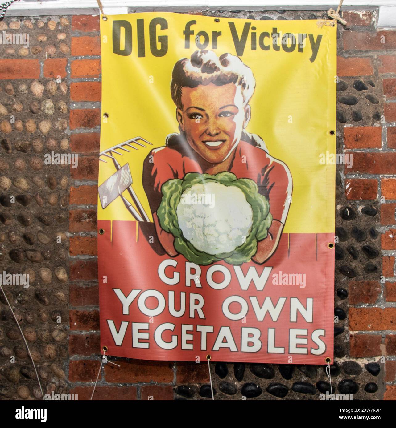 Women's Land Army Dig for Victory Wartime propaganda Posters Stock ...