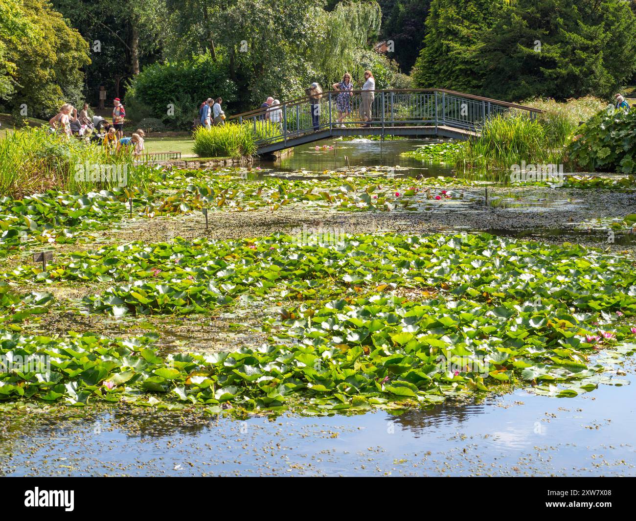 The Lower Lake, Burnby Hall Gardens, Pocklington Stock Photo - Alamy