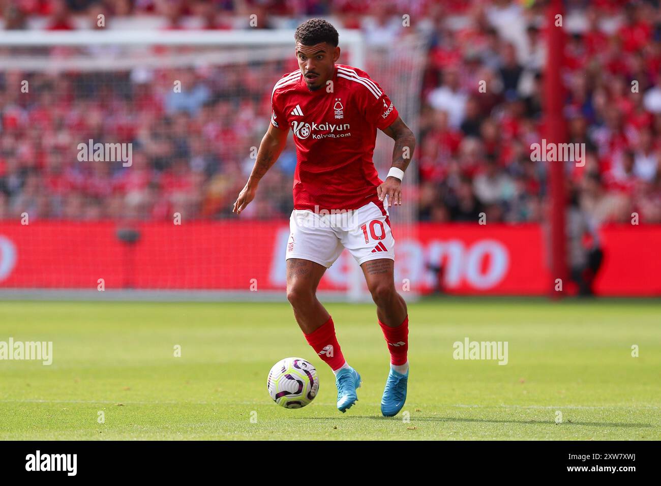 Gibbs white england fc hi-res stock photography and images - Alamy