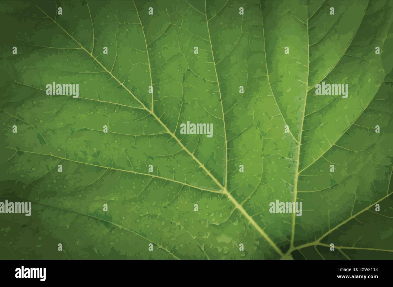 Green leaf structure abstract Stock Vector Image & Art - Alamy