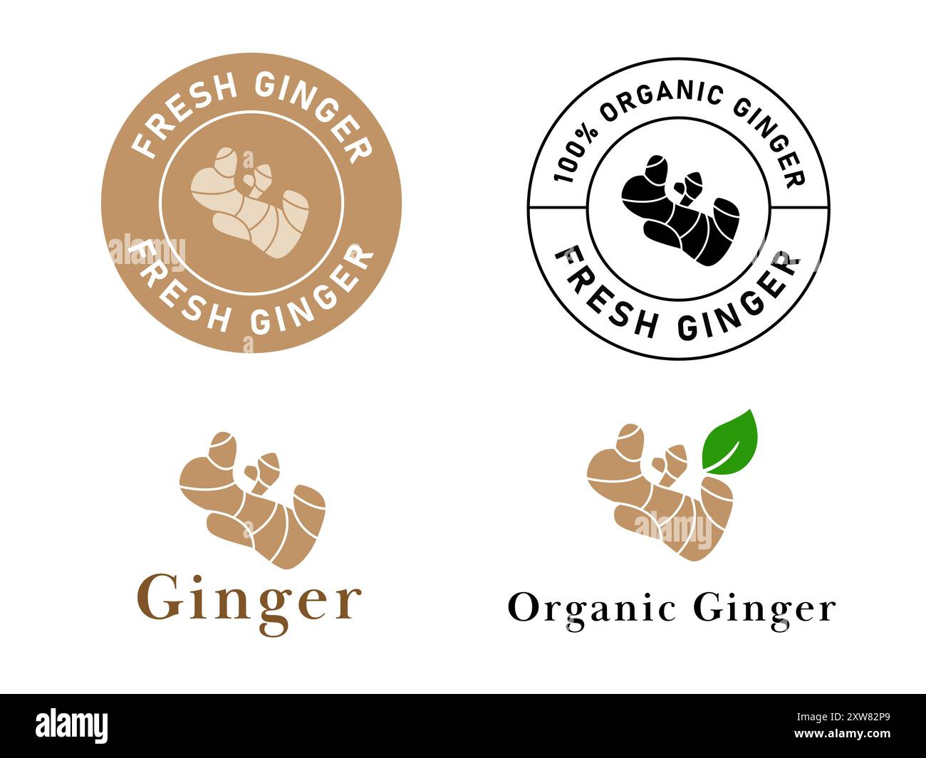 Ginger label stamp of organic spices circle brown black and white ...