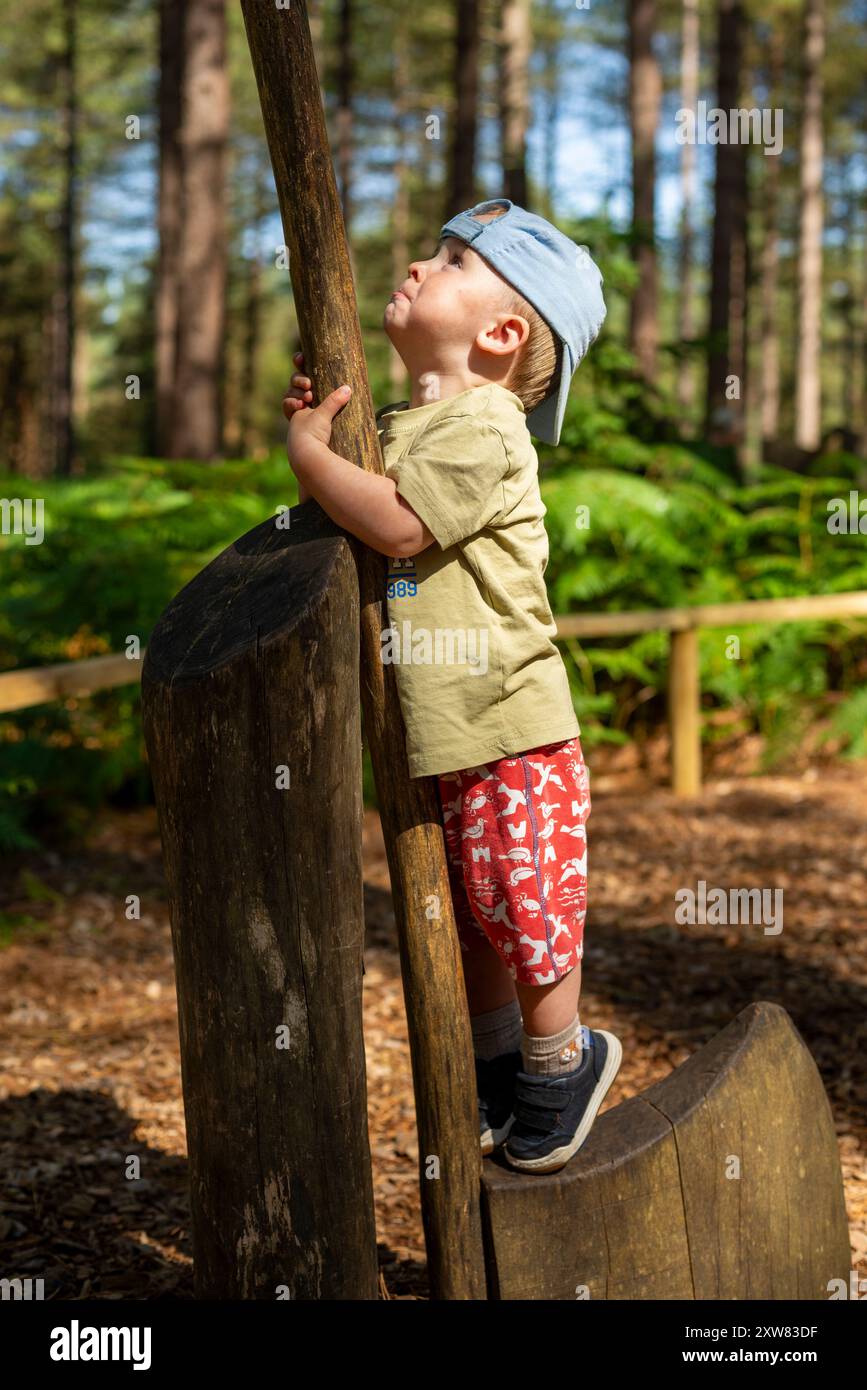 Boy, toddler, wearing blue cap on backwards, climbing in an adventure ...