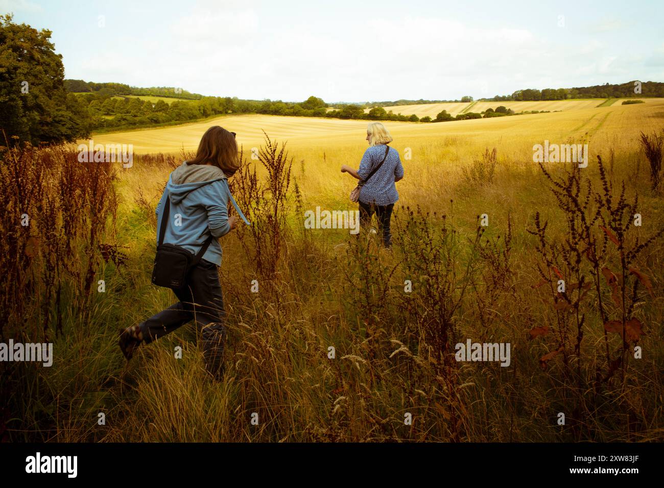 Two women friends walking in the English countryside in warm cinematic ...