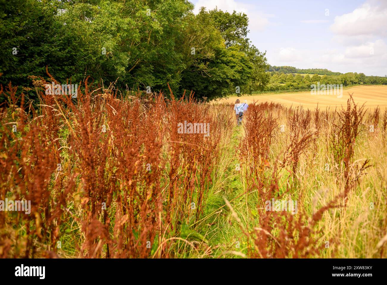Mature women walking countryside hi-res stock photography and images ...