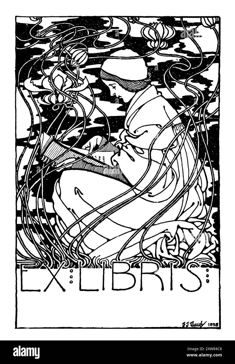 Water lily line drawing Cut Out Stock Images & Pictures - Alamy