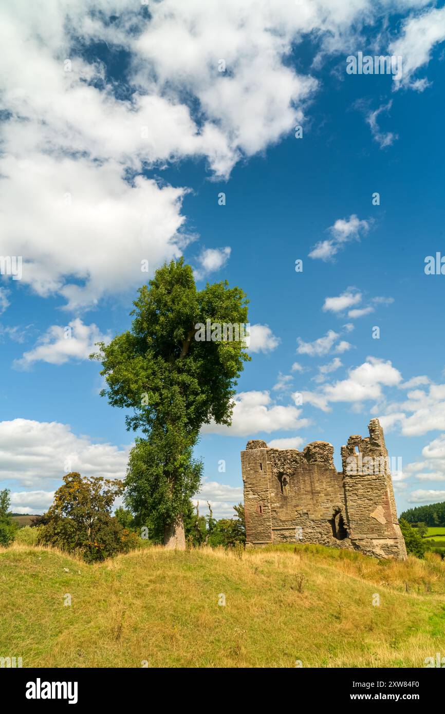 The ruins of Hopton Castle a Medieval castle in Shropshire, UK in ...