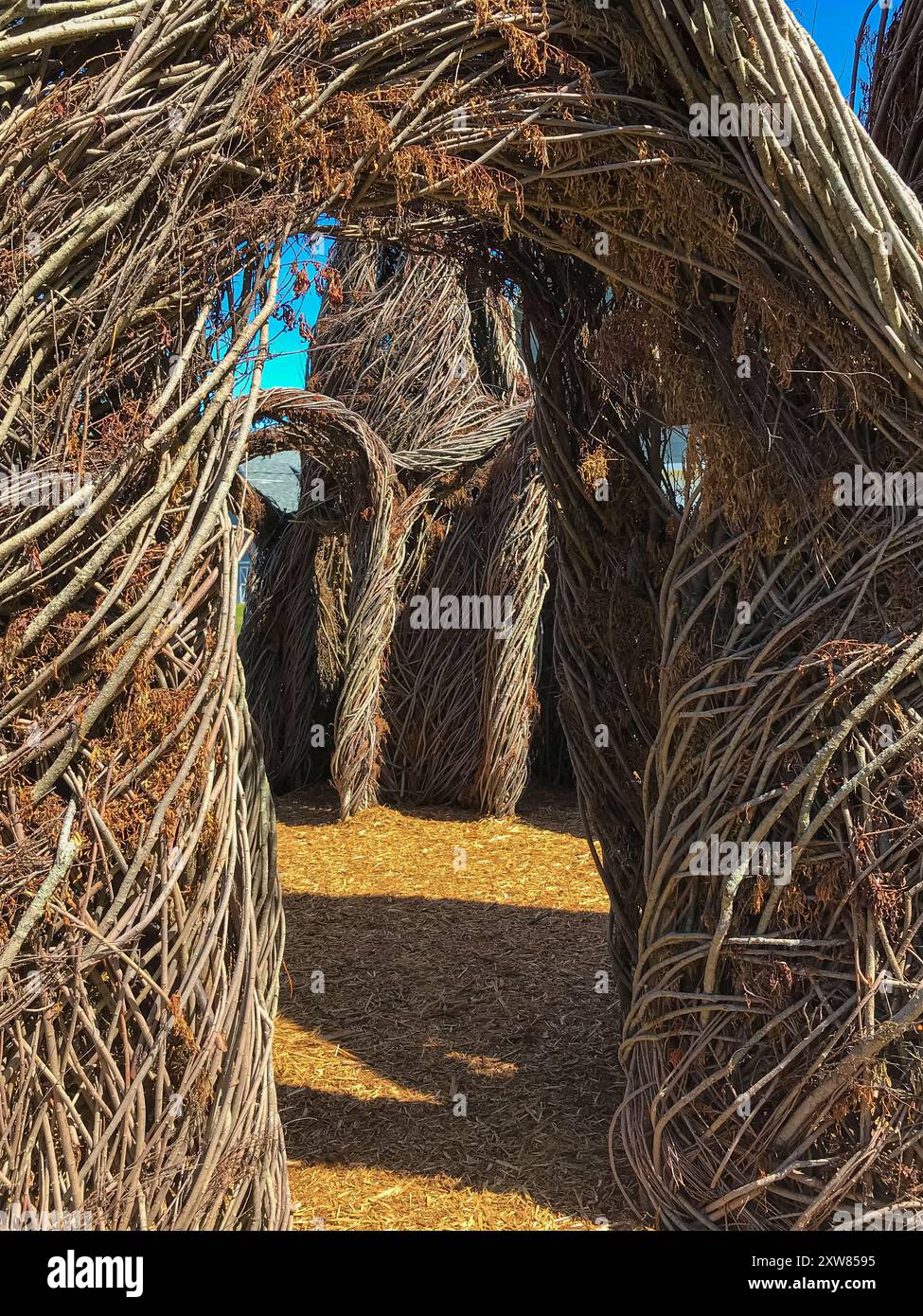 "Stickwork" by artist Patrick Dougherty is an art installion for the ...