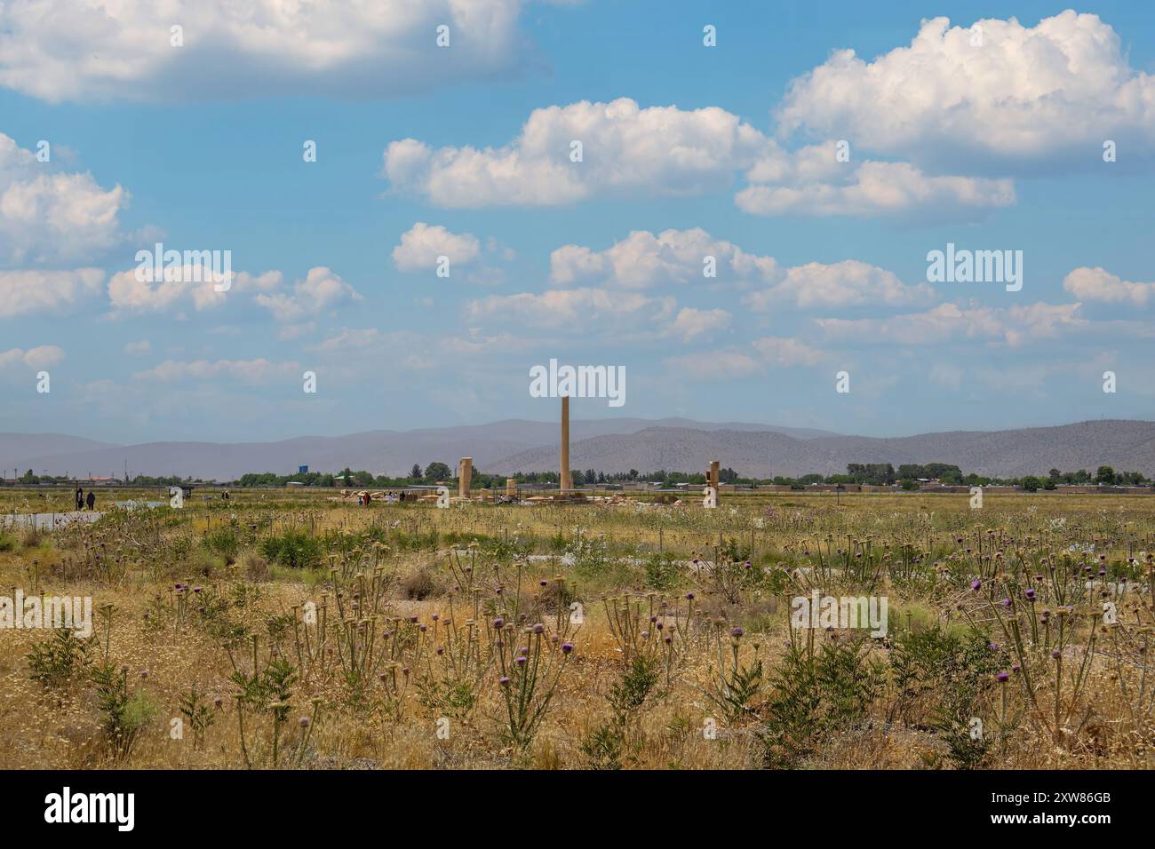 Ruins of Bar-e Aam Palace at ancient Pasargadae -shiraz- Iran Stock ...
