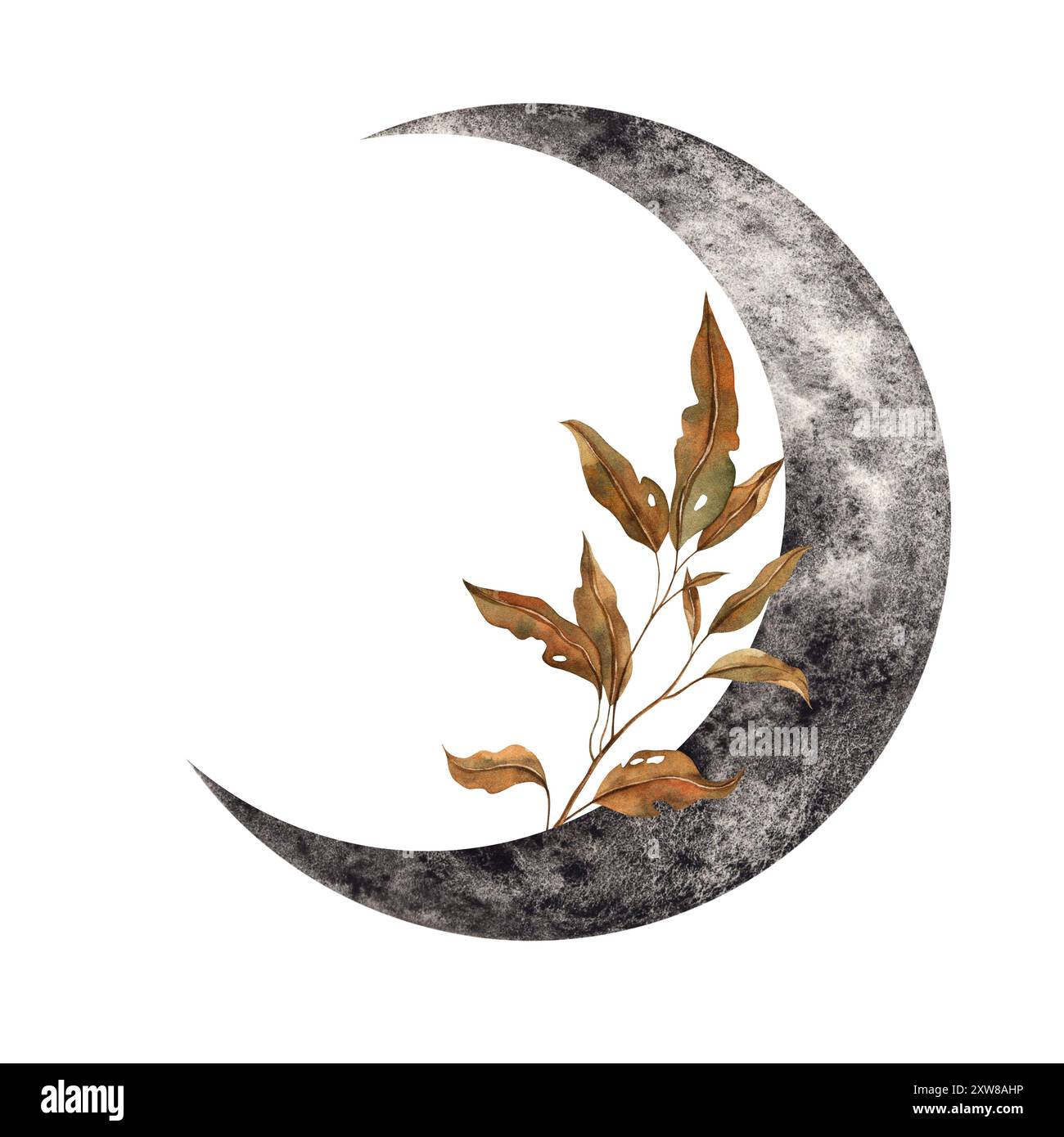 Full moon tree in Cut Out Stock Images & Pictures - Alamy