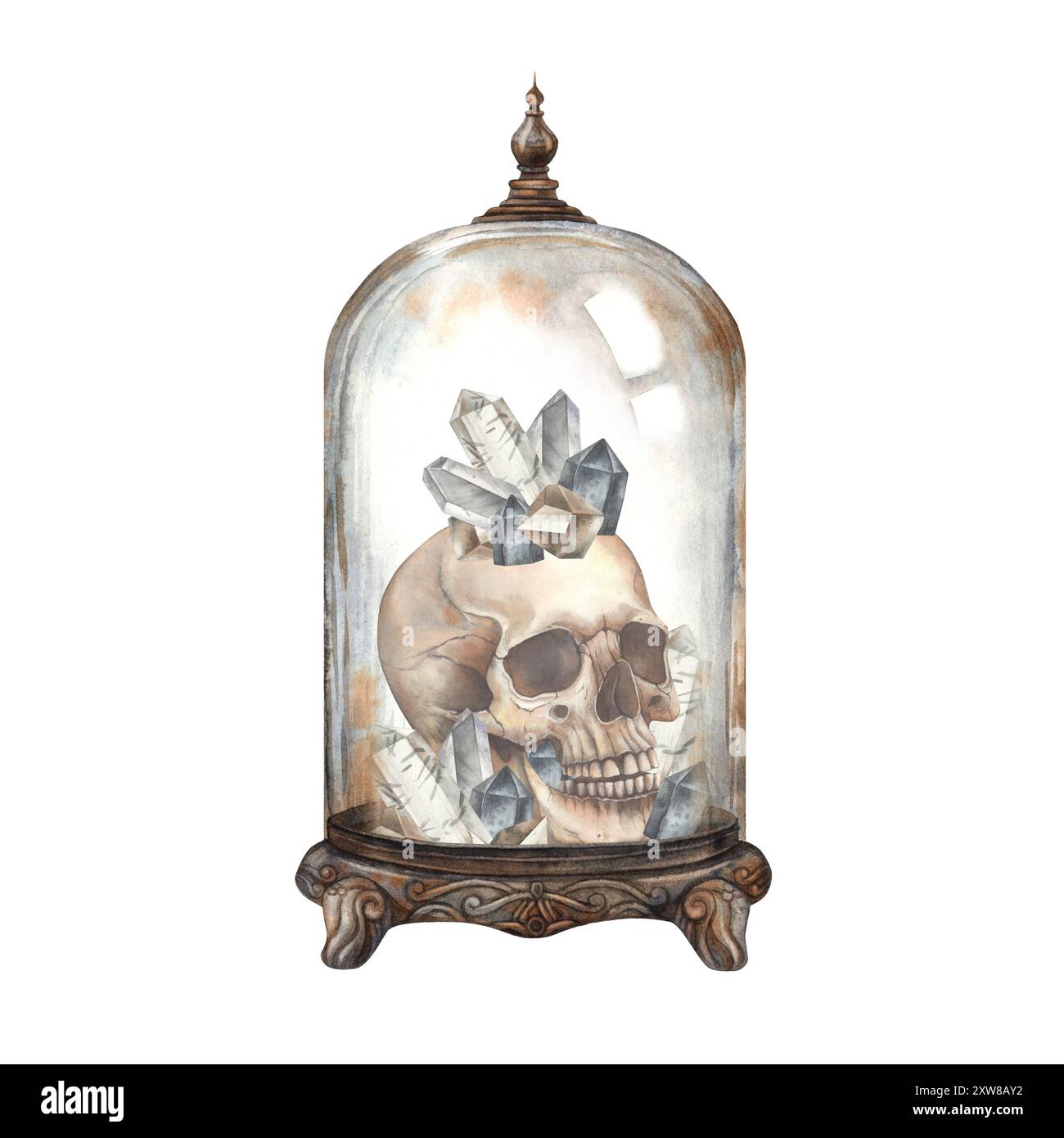 Human skull with crystals, in antique copper glass dome. Watercolor ...