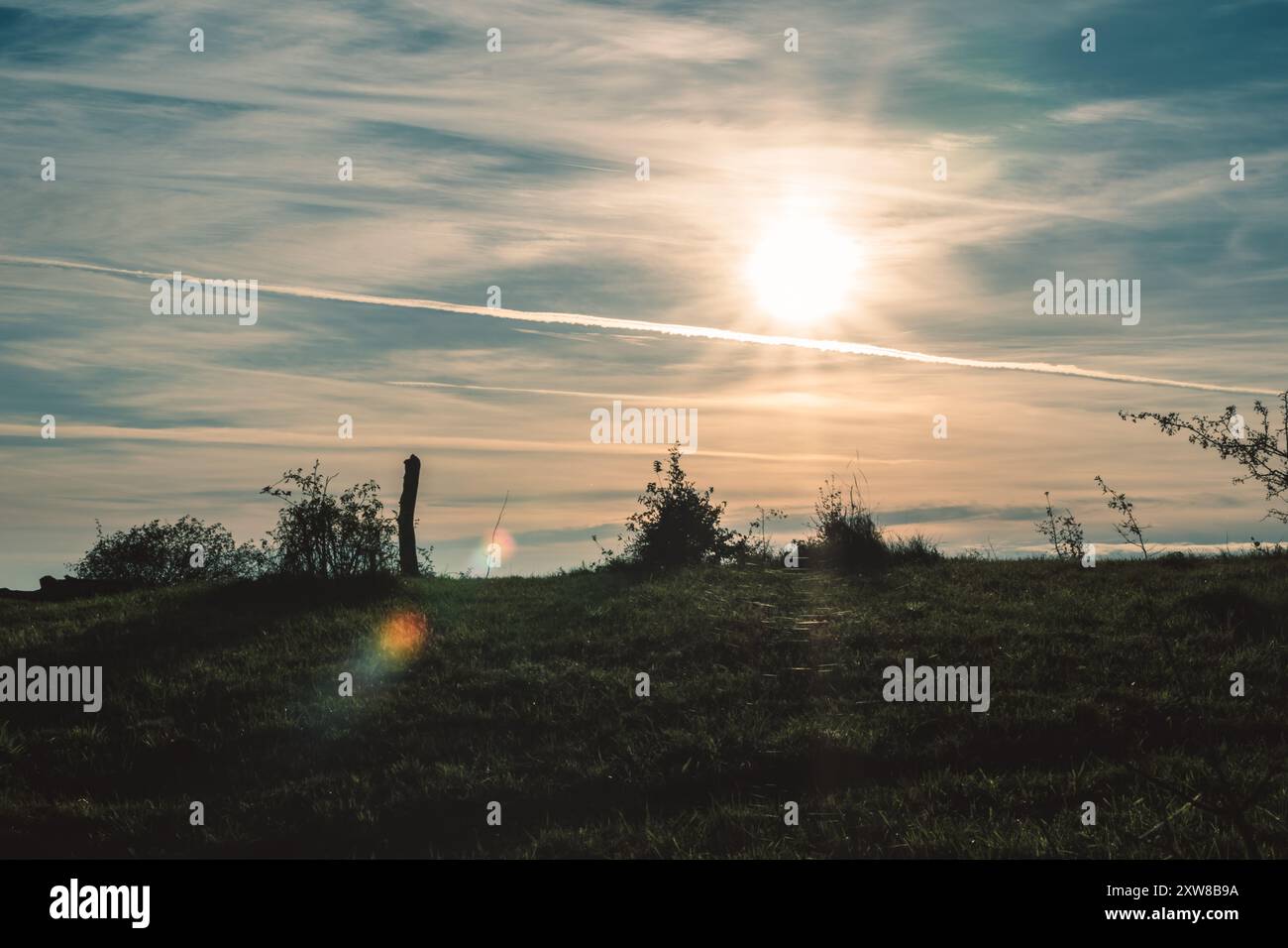 sun in the sky falling down, sunlit reflecting on the green grass Stock ...