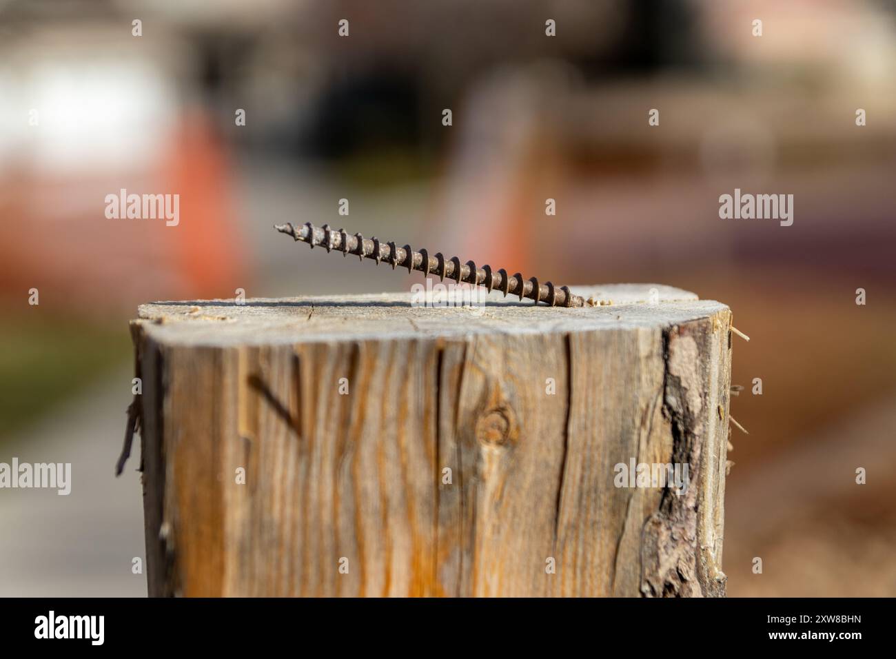 Rusty screw protruding from weathered wooden stump - background blurred ...