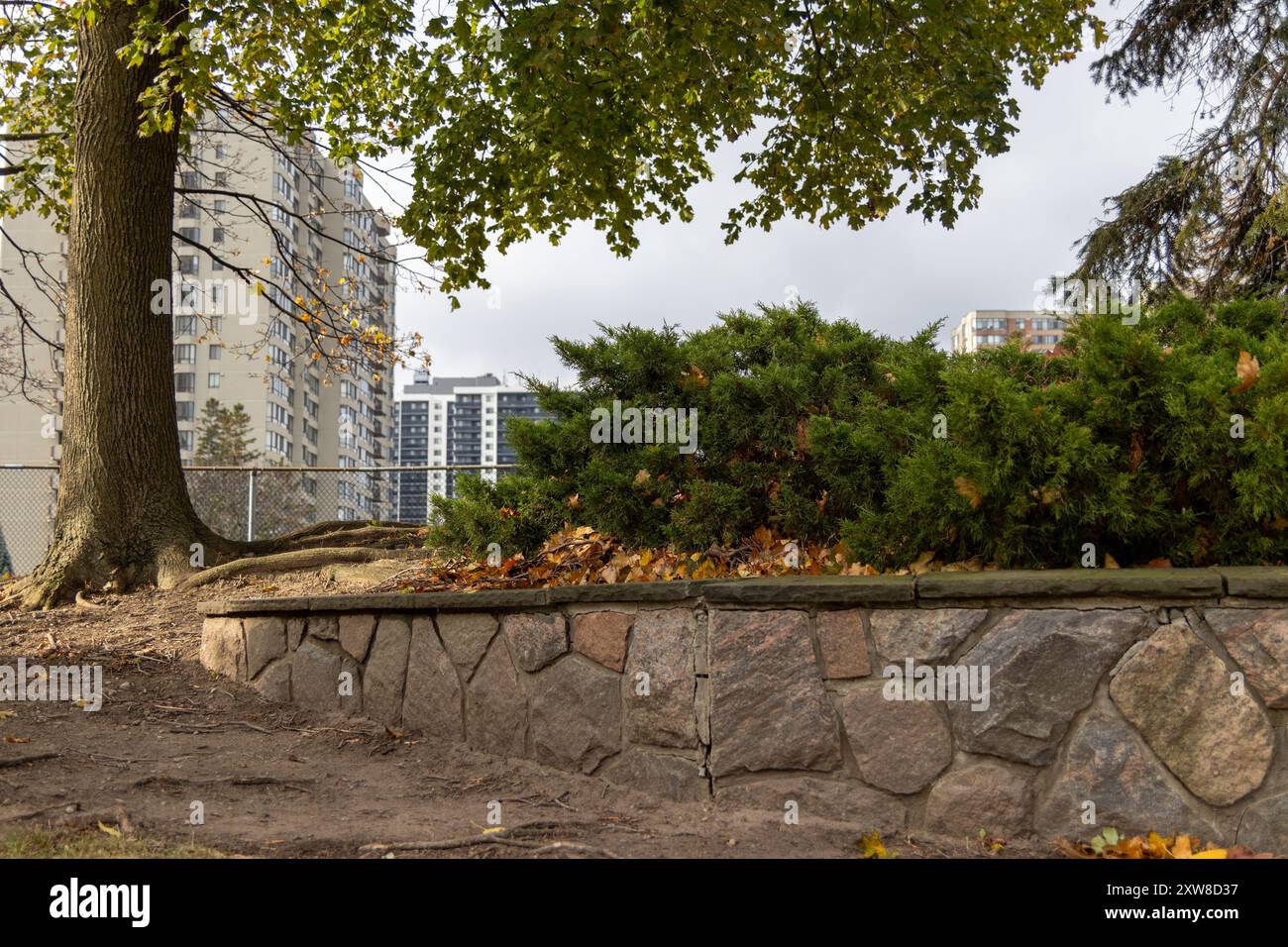 Manicured trees architecture in hi-res stock photography and images - Alamy
