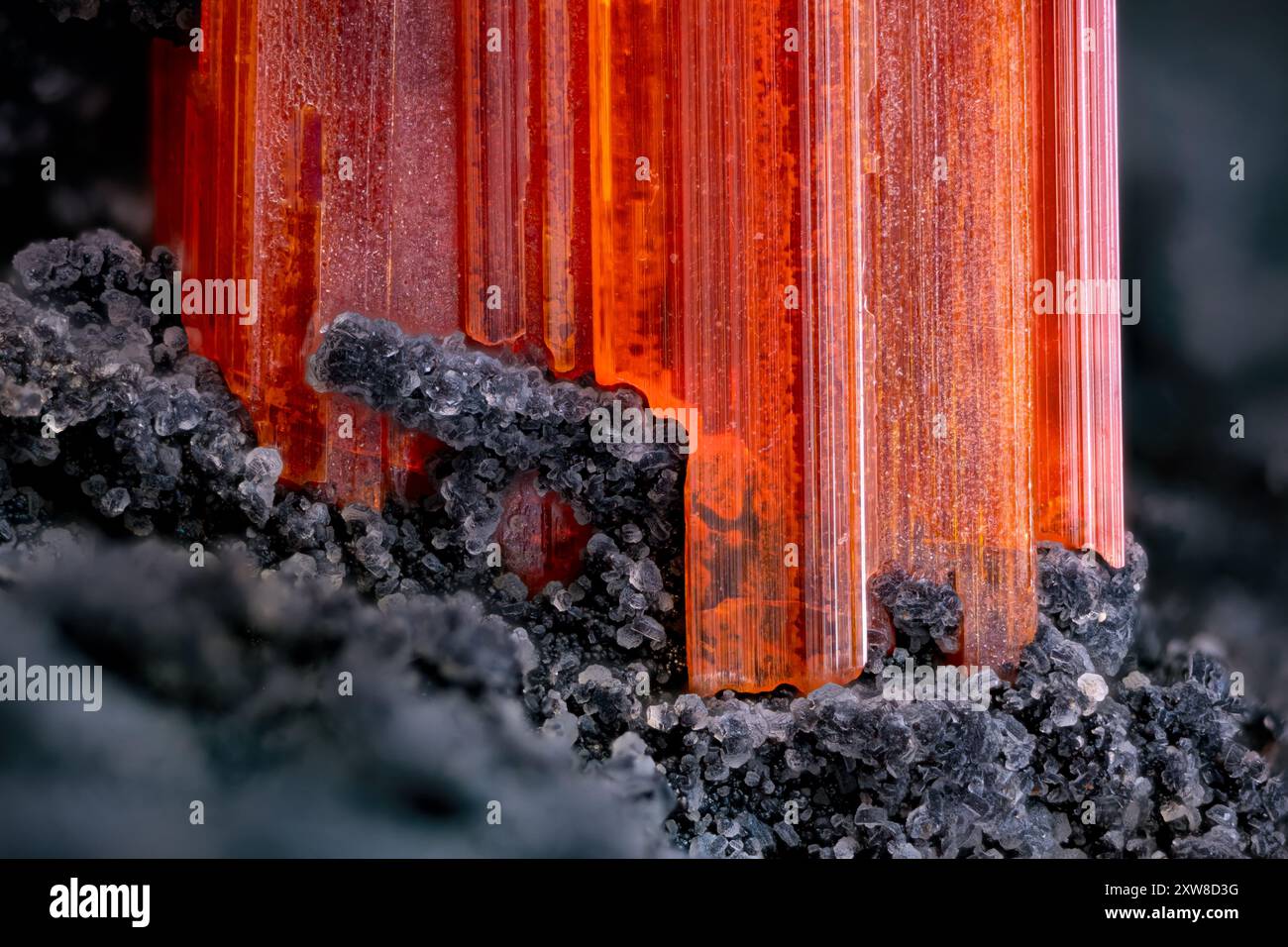 Crocoite crystal photography. Specimen from Adelaïde, dundas, tasmania ...