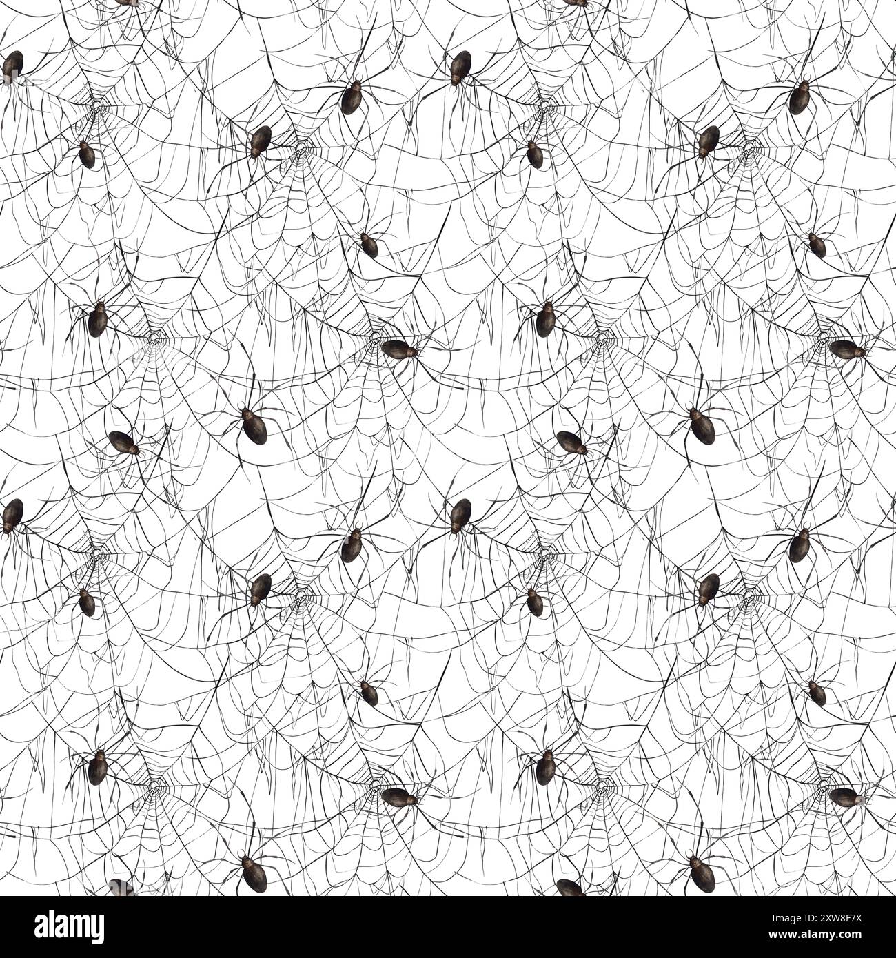 Fine lacy black web and realistic spiders. Hand-drawn watercolor ...