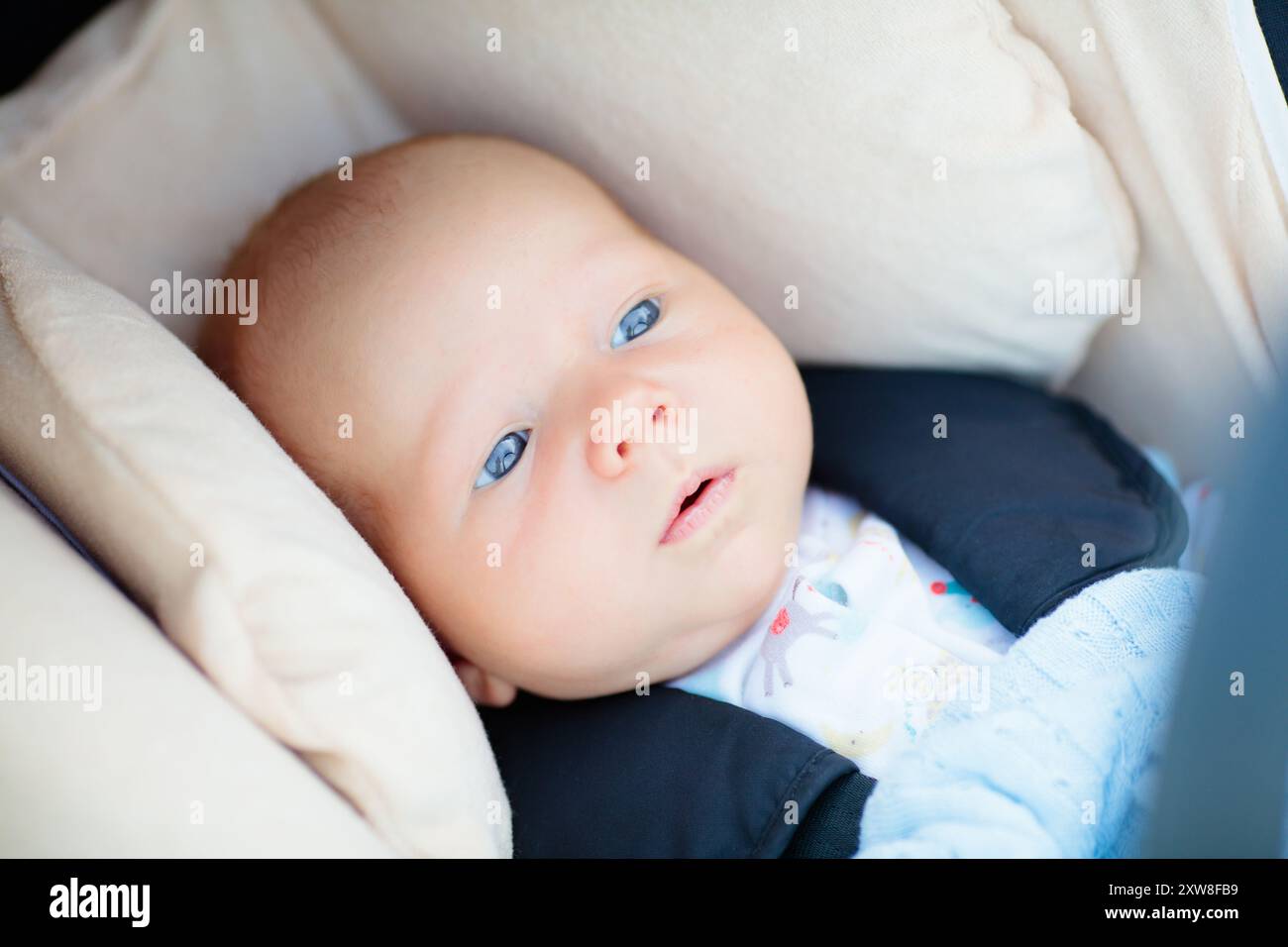 Newborn baby in car seat. Safe transportation of infant after hospital ...