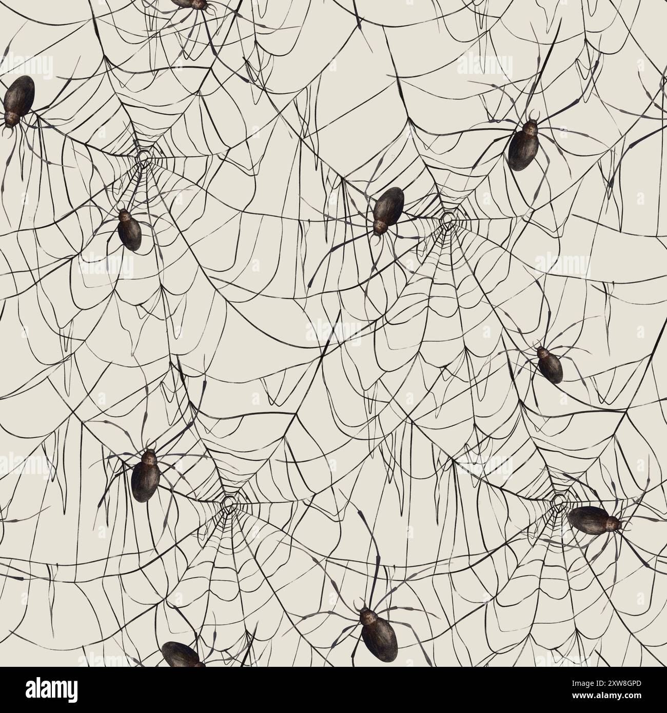Beige spider hi-res stock photography and images - Alamy