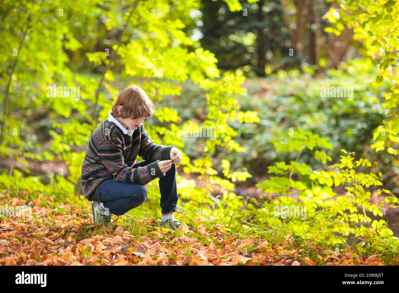 Children hiking in forest and mountains. Kids play outdoor in summer ...