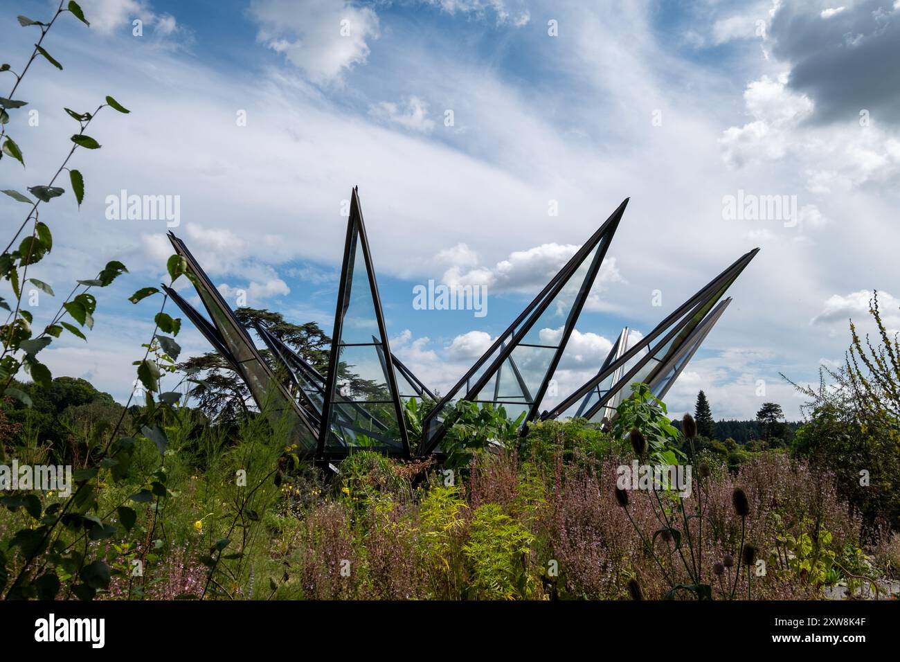 Woolbeding Glasshouse. Pyramid shaped modern conservatory designed by ...