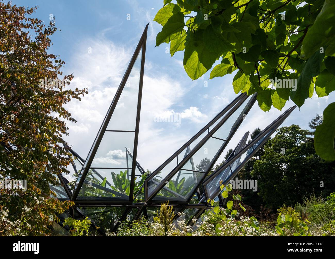 Victorian terrariums hi-res stock photography and images - Alamy