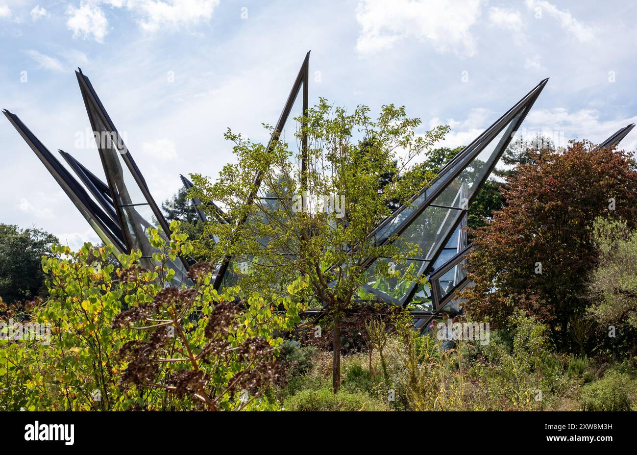Woolbeding Glasshouse. Pyramid shaped modern conservatory designed by ...
