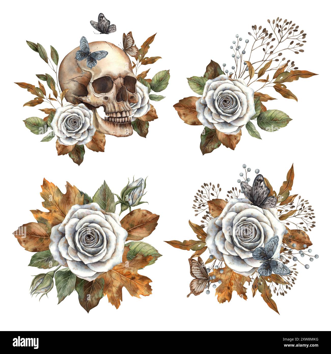 Realistic skull skeleton, white vintage roses. Set of compositions with ...