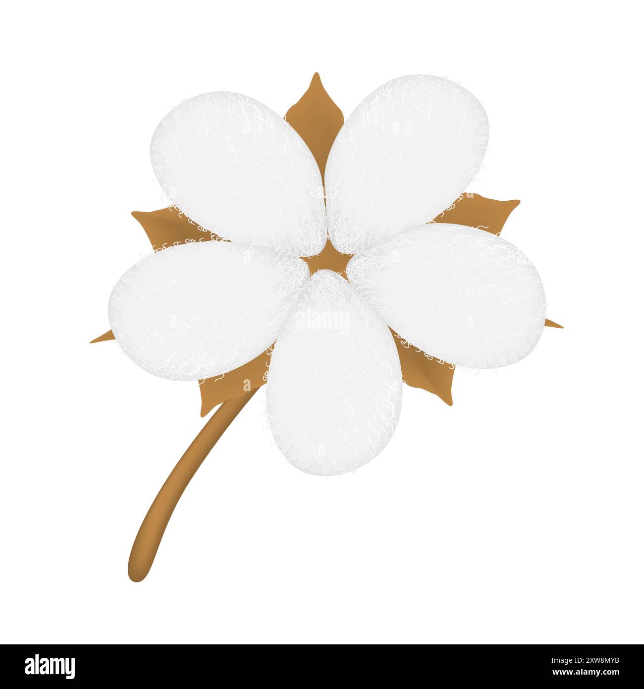Abstract cotton flower on white isolated background, design element ...