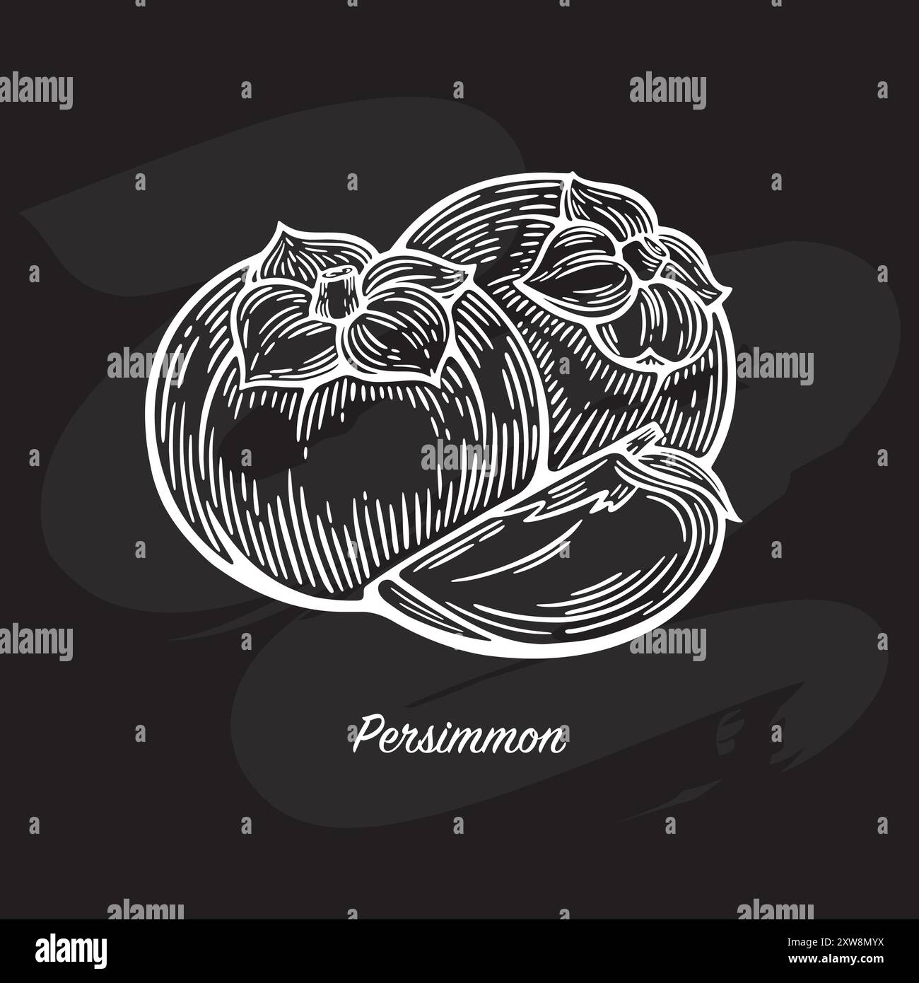 Persimmon drawing hi-res stock photography and images - Alamy