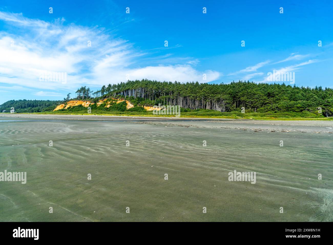 A view of the beach and trees on a hill in Moclips, Washington Stock ...