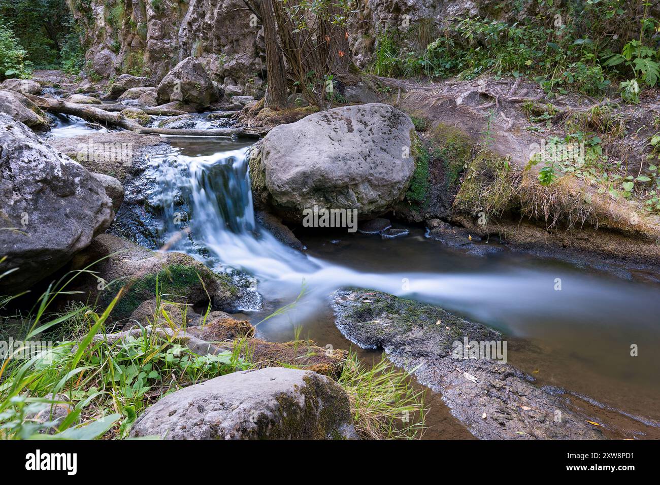 wild Tureni gorges in Transylvania, a natural area with lots of ...