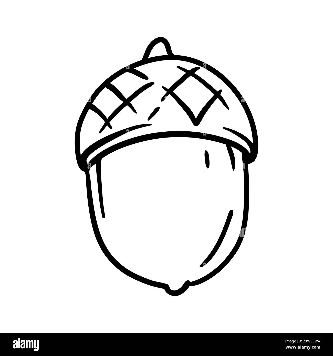 Acorn illustration. Autumn natural oak tree seed Stock Vector Image ...