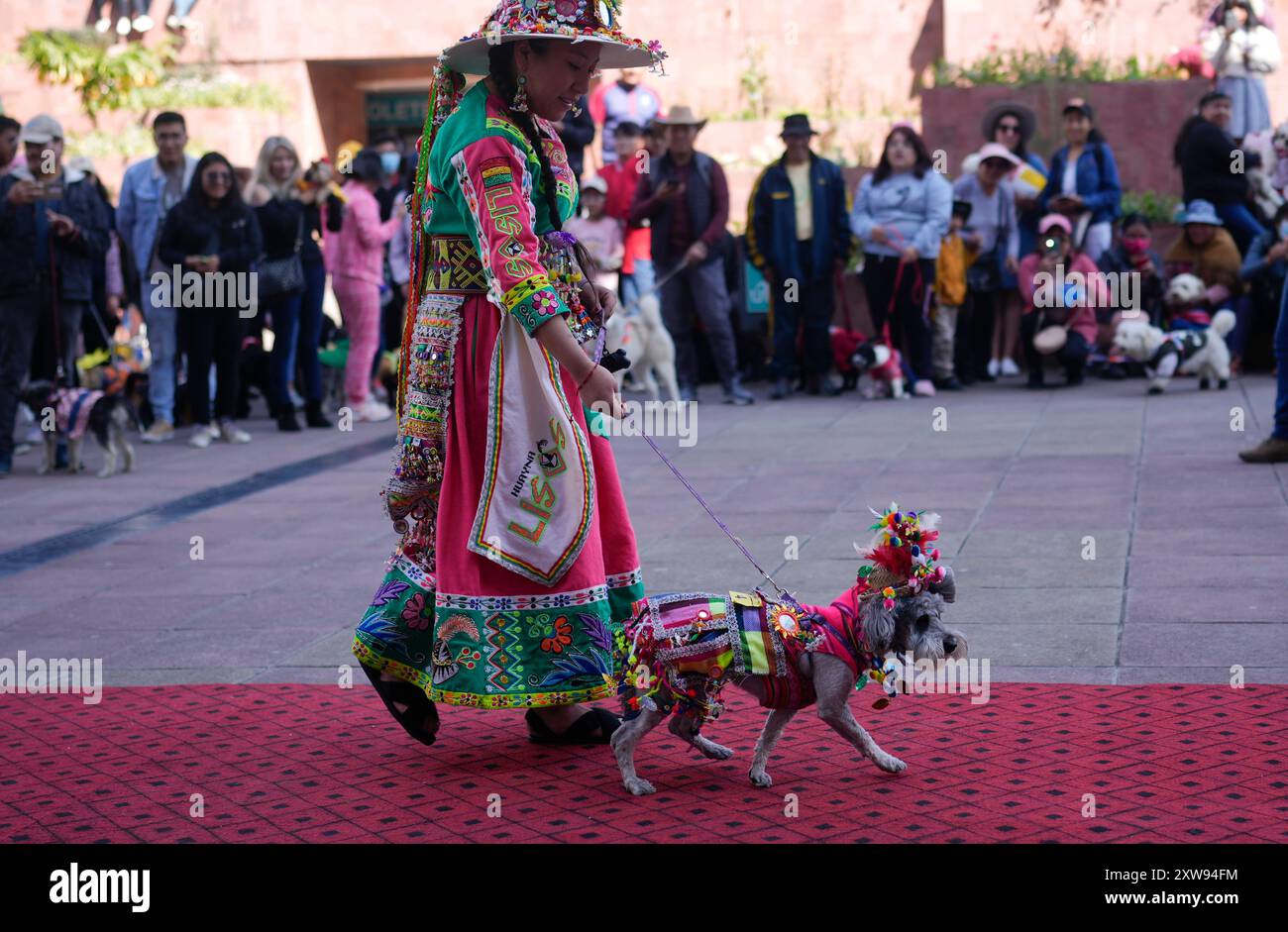 A woman dressed as Tinku dancer leads dog during a costume contest ...
