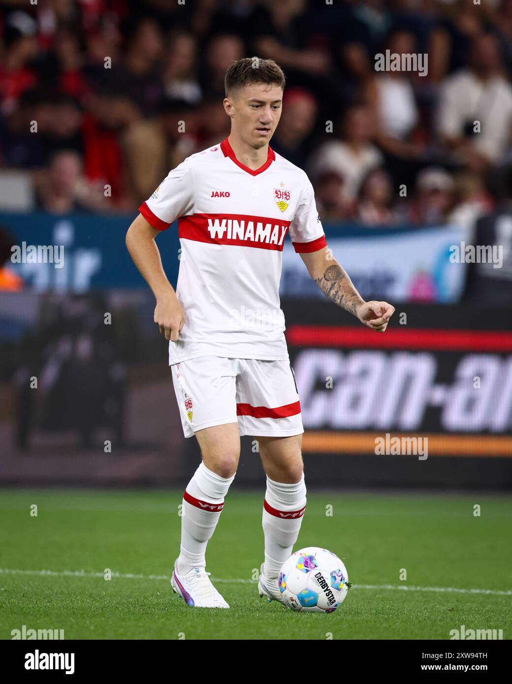 Angelo stiller of vfb stuttgart runs with the ball hi-res stock ...