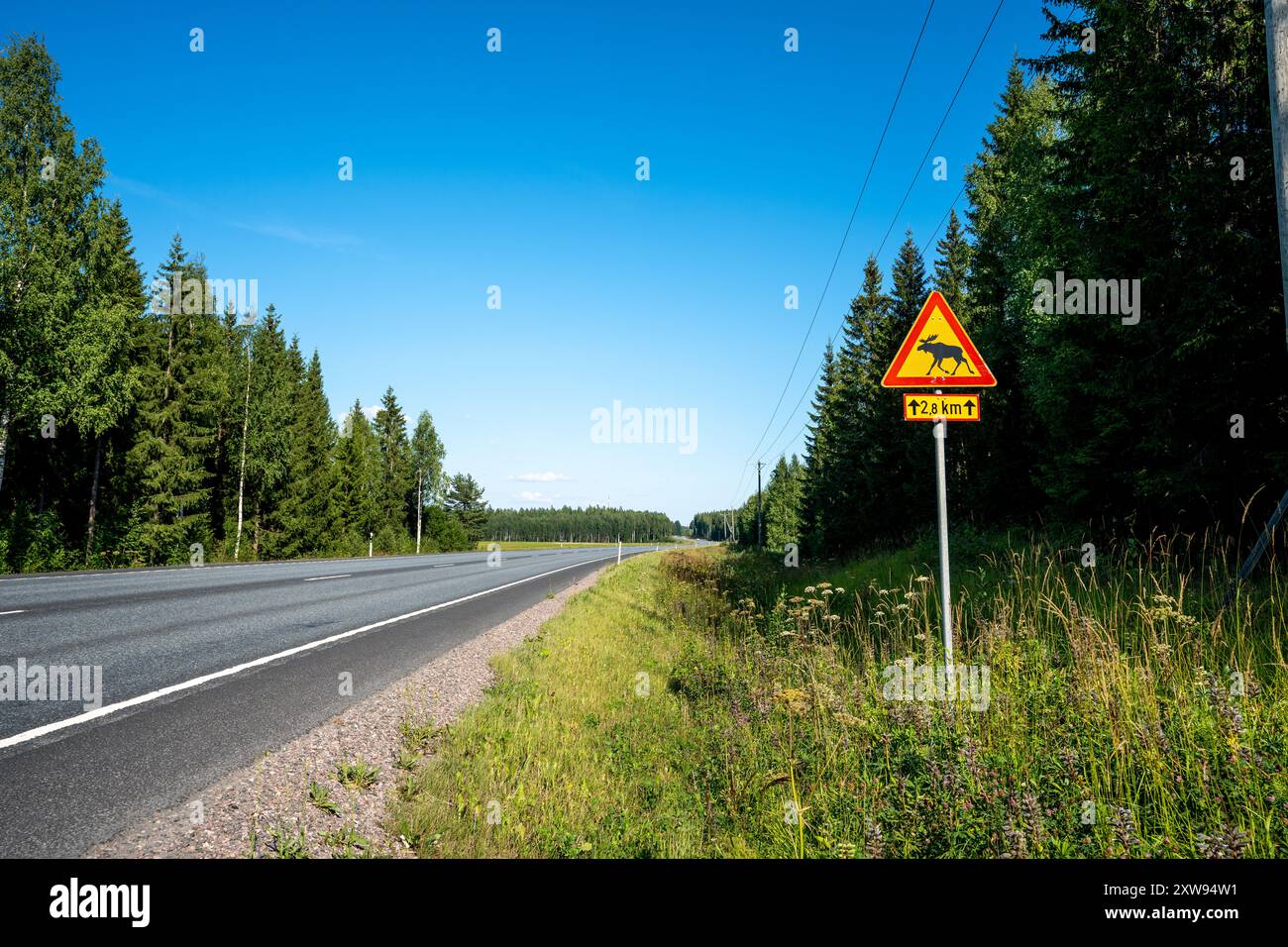 Finnish Road in Summer with Moose Warning Sign Surrounded by Trees ...